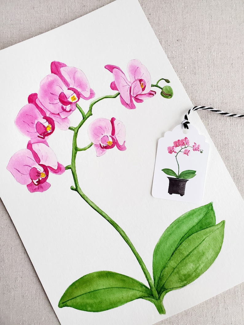 Pink Orchid Gift Tags, Original Watercolor Orchid Floral Present Labels ...