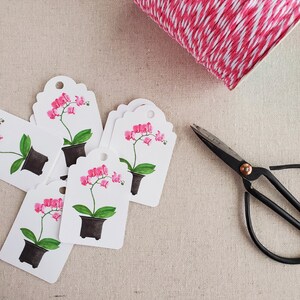 Pink Orchid Gift Tags Orchid Gift Tags All Occasion Gift - Etsy