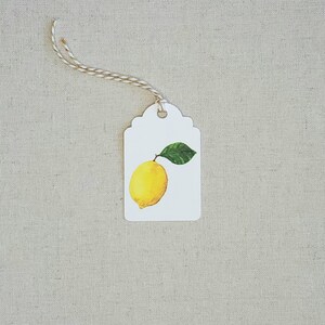Lemon Gift Tags, Set of 9 All Occasion Present Tags, Original ...