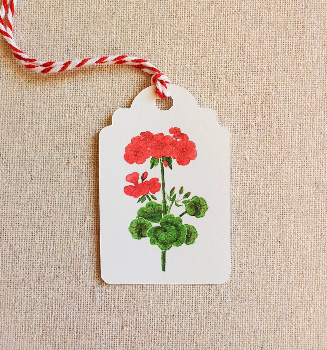 Set of 9 Red Geranium Gift Tags, Original Floral Watercolor Present ...