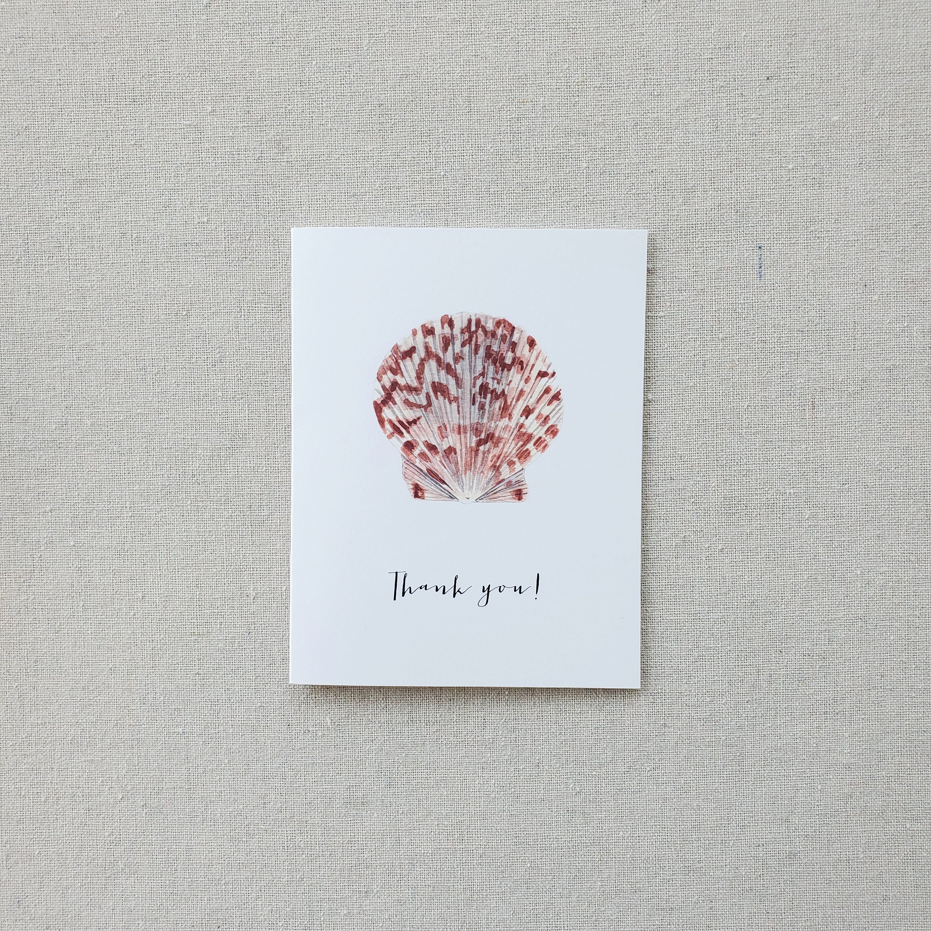 Shell Thank You Note Cards, Original Watercolor Ocean Shell Variety ...