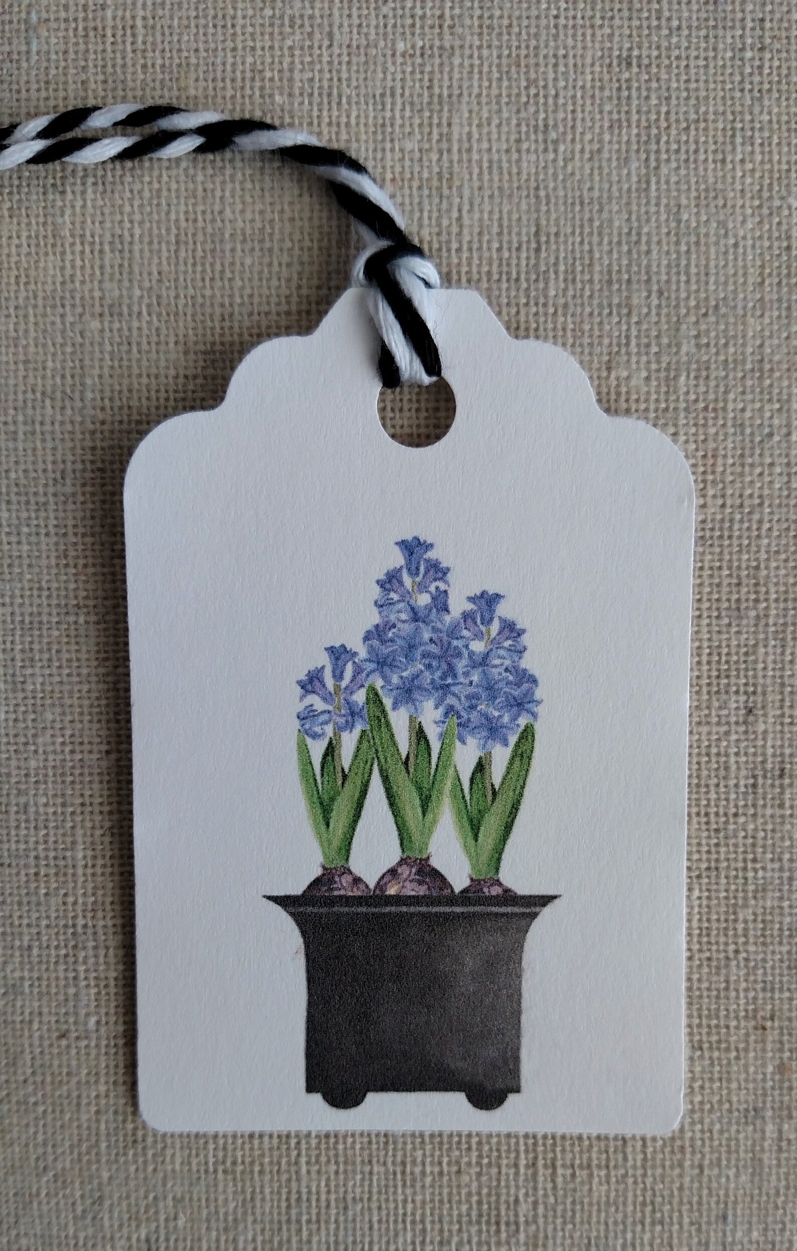 Hyacinth Flower Gift Tags, Original Watercolor Purple Floral Present ...