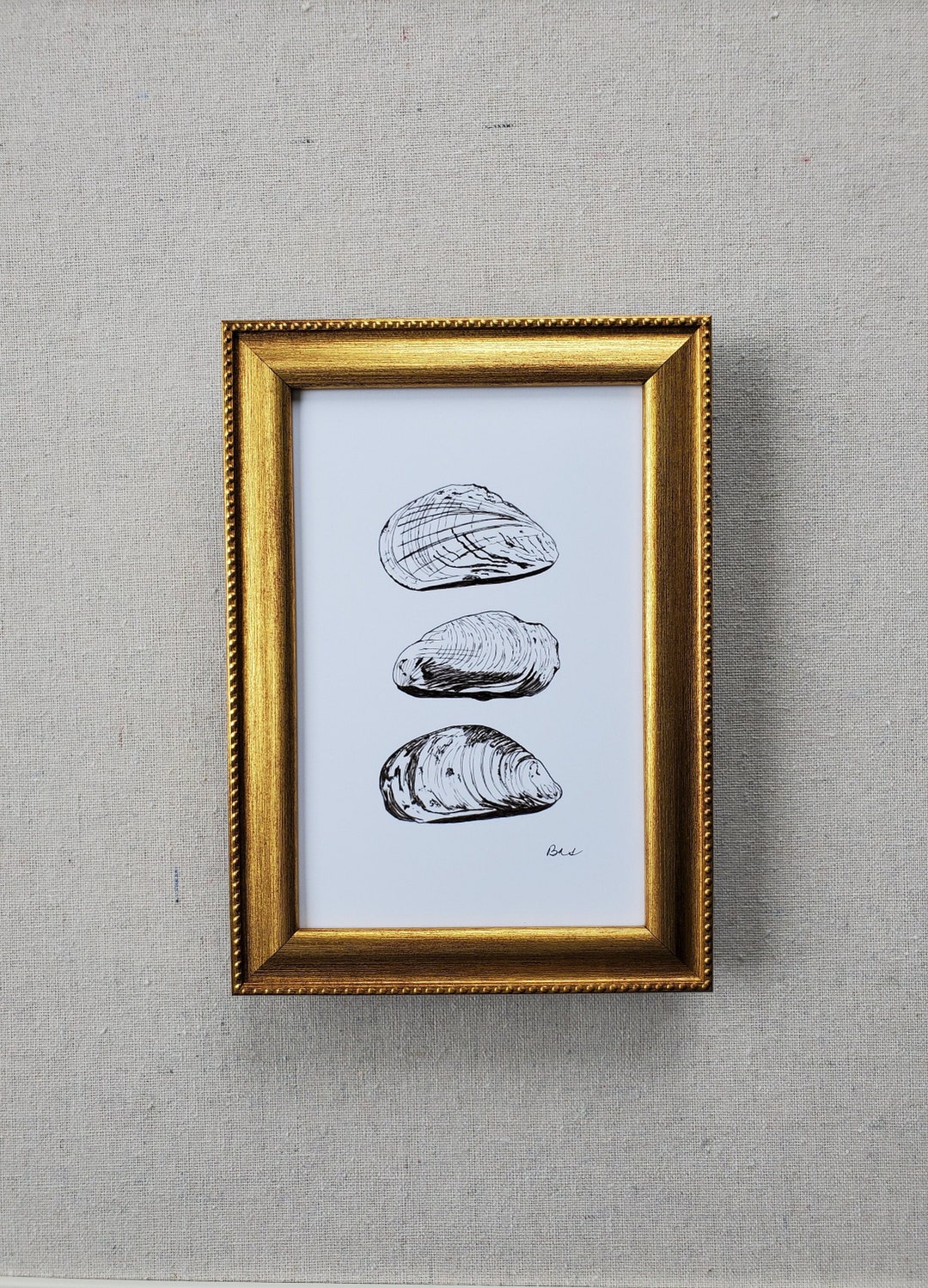 ART PRINT: Black Ink Shell Art Print, Art Print, Original Ink Art Print ...