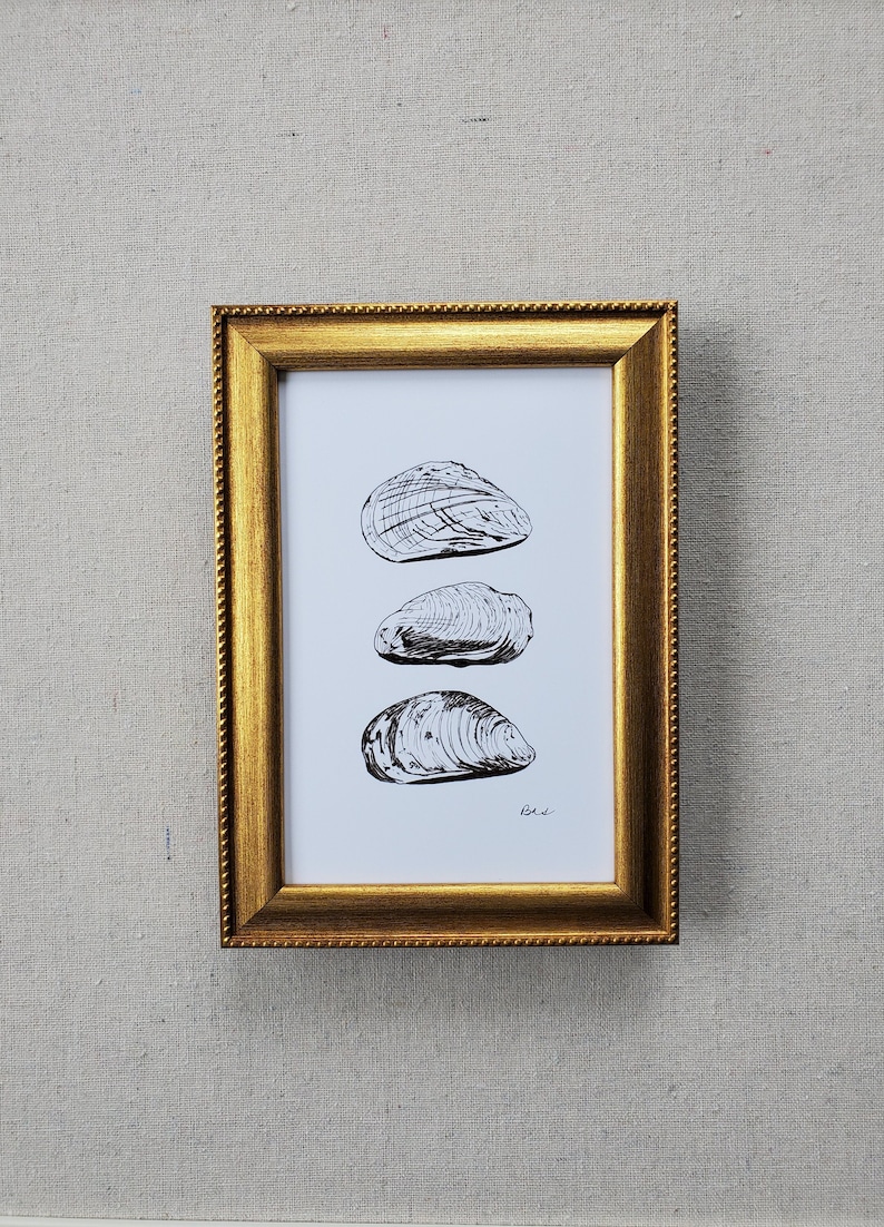 ART PRINT: Black Ink Shell Art Print, Art Print, Original Ink Art Print ...