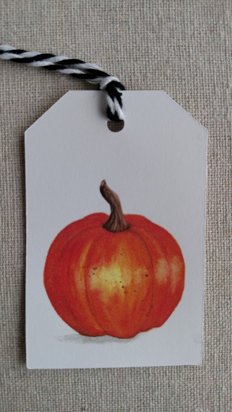 Autumn gift tags fall gift tags pumpkin gift tag white | Etsy
