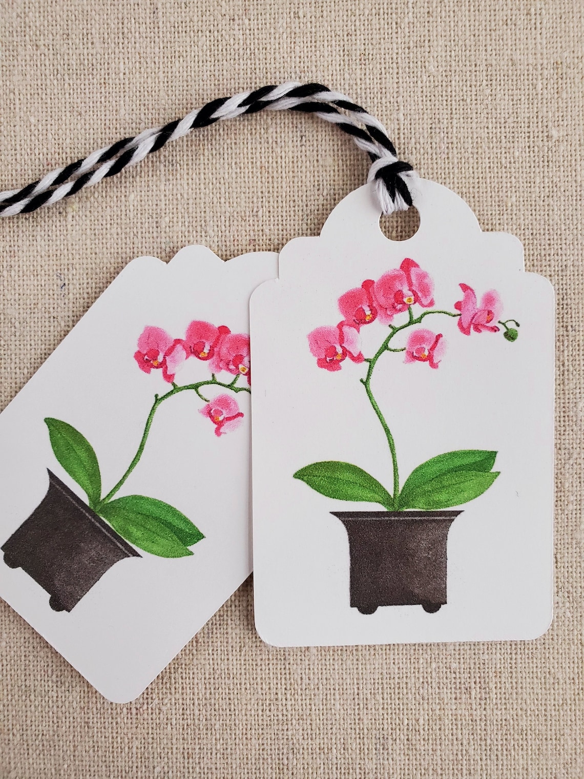 Pink Orchid gift tags Orchid gift tags All Occasion gift | Etsy