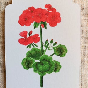 Set of 9 Red Geranium Gift Tags, Original Floral Watercolor Present ...