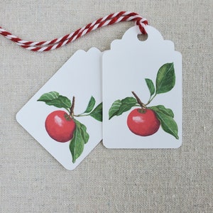 Apple Gift Tags, Fall Gift Tags, Autumn Gift Tag, Gift Tag, Party Favor ...