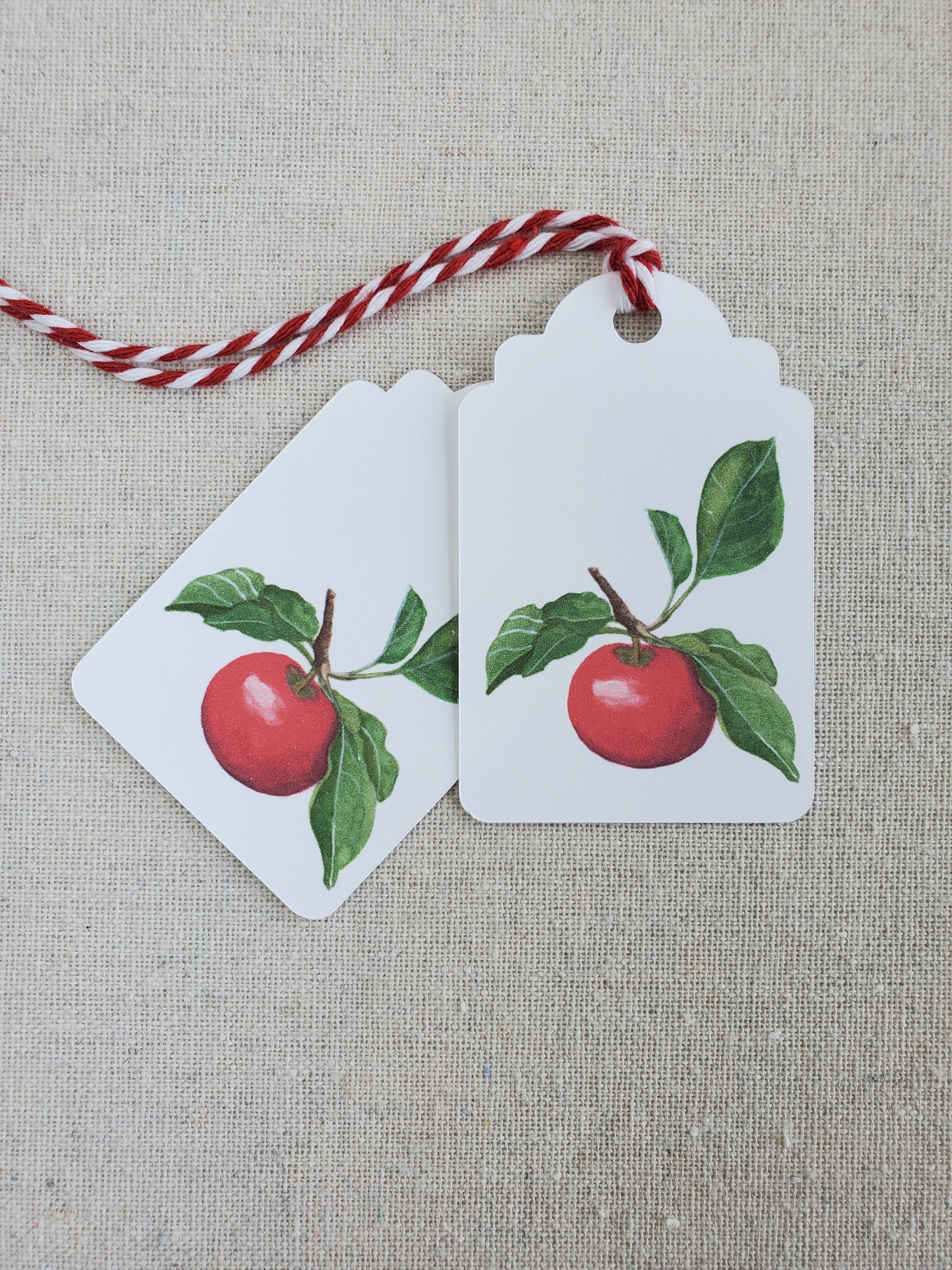 Apple Gift Tags, Set of 9, Original Watercolor Autumn Gift Bag Tags ...