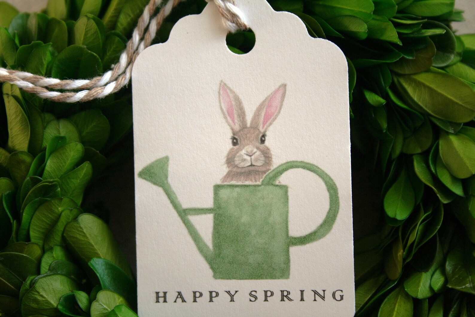 All Occasion Gift Tags Spring Gift Tags Gift Tags Rabbit - Etsy