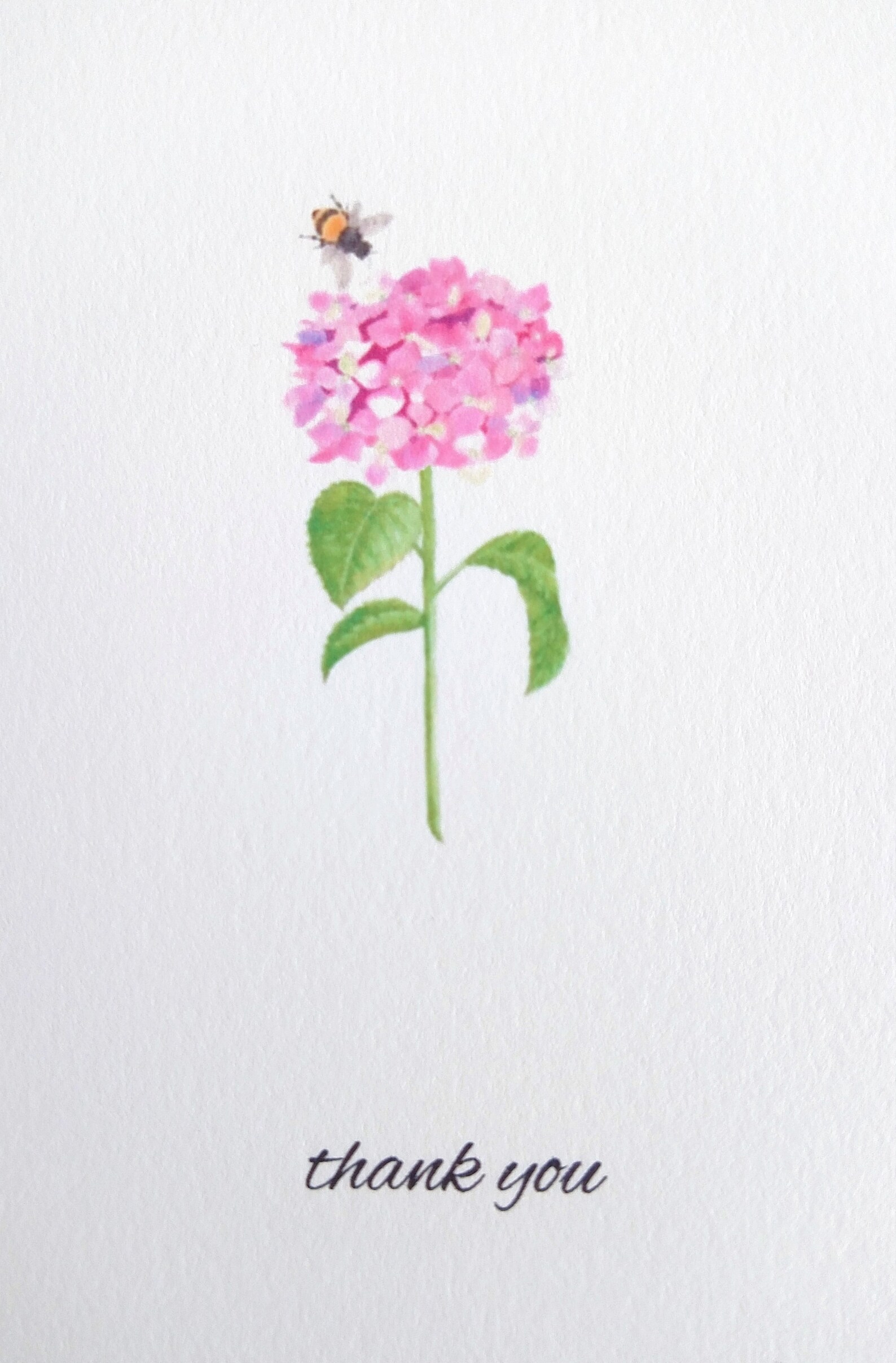 Thank You Note Card Set Set of 8 Variety Pack of Thank You - Etsy