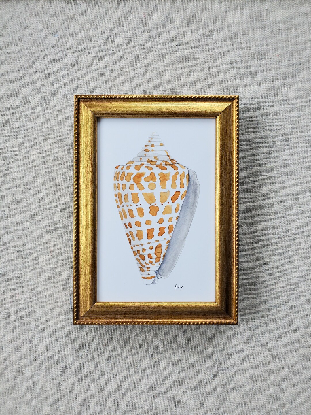 ART PRINT: Watercolor Shell Art Print, Coastal Art Print, Original ...