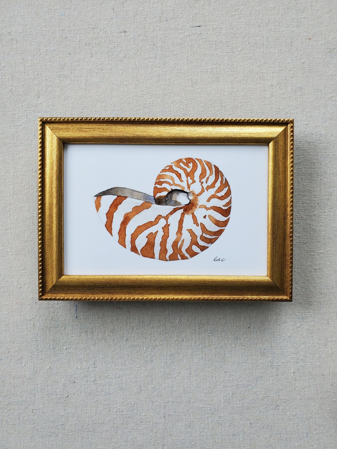 ART PRINT: Watercolor Shell Art Print, Coastal Art Print, Original ...