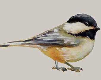 Bird Wall Decal Bird Wall Sticker Get Well Gift Watercolor | Etsy