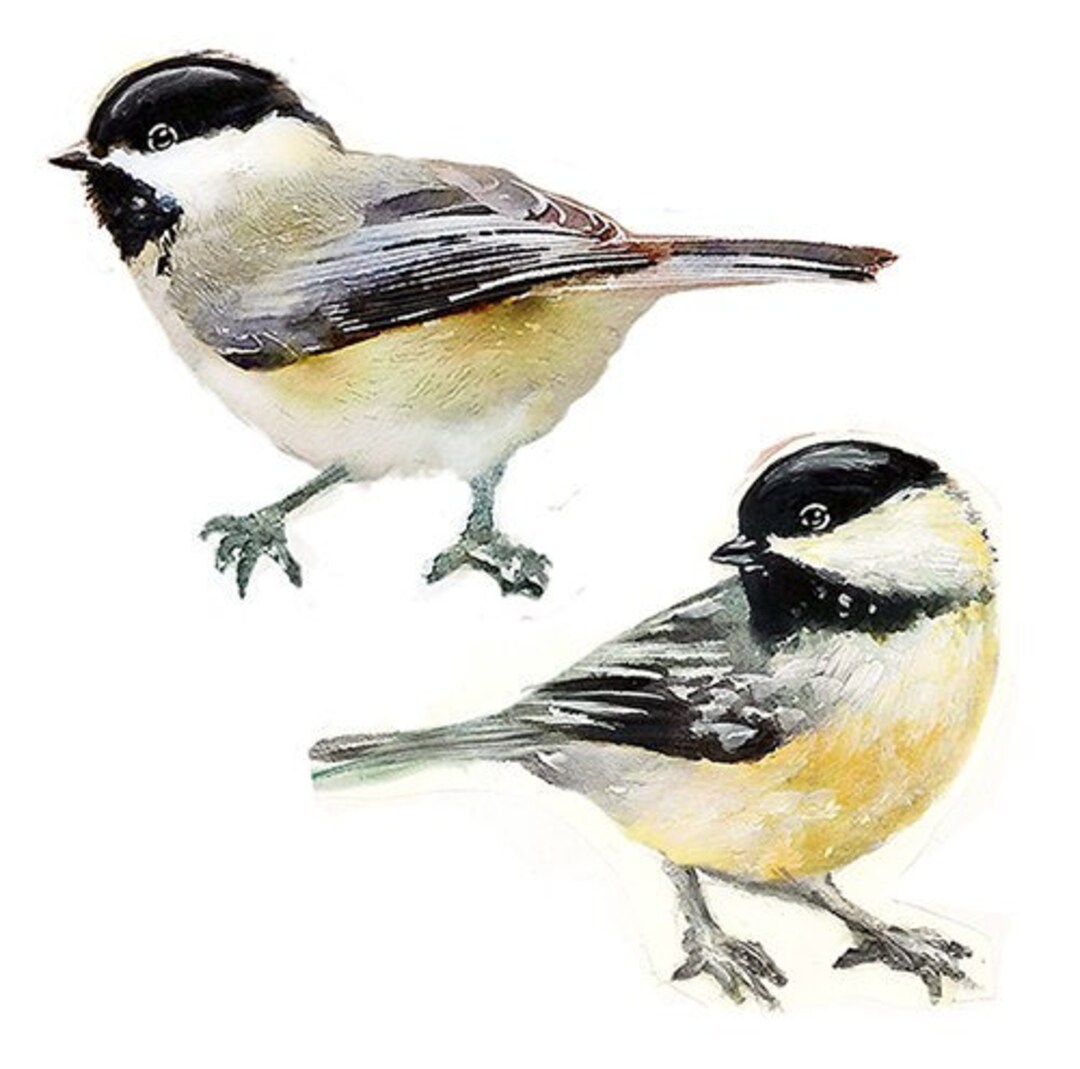 Set 2 Wall Decals Birds, Black-capped Chickadees, Get Well Gift, Wall ...