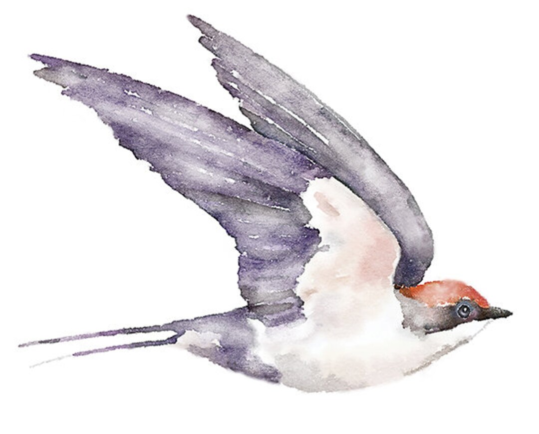Flying Swallow Decal, Barn Swallow, Wall Decal Bird, Watercolor Swallow ...