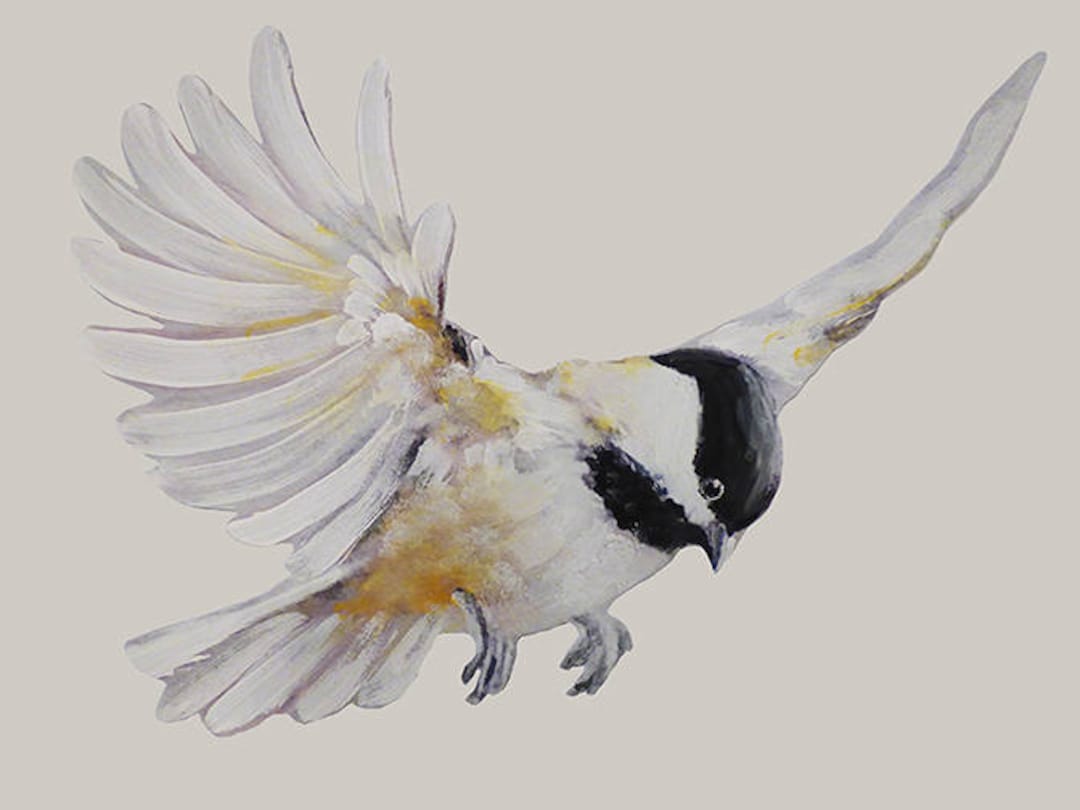 Flying Chickadee, Wall Decal Bird, Black-capped Chickadee, Get Well ...