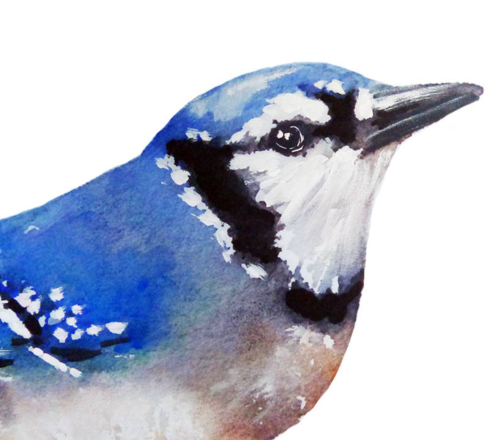 Blue Jay Wall Decal Bird Wall Sticker Get Well Gift - Etsy