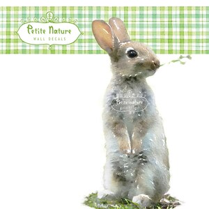 Rabbit, Watercolor Stickers, Bunny Wall Decal, Woodland Animals ...