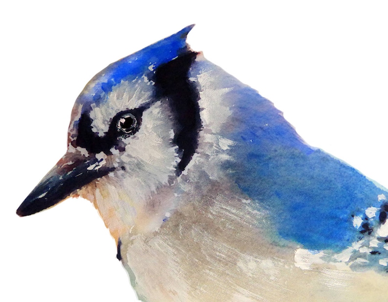Blue Jay Wall Decal Bird Wall Sticker Get Well Gift - Etsy