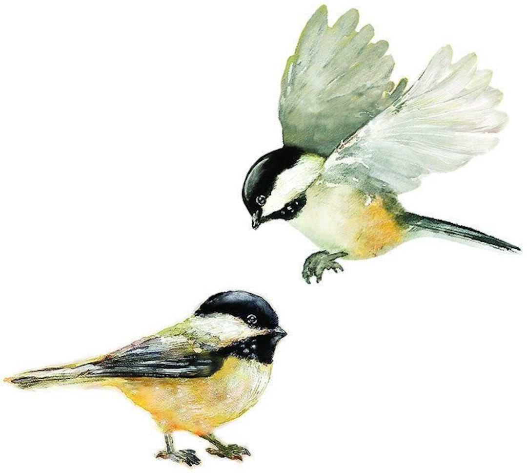 Set 2 Wall Decals Birds, Black-capped Chickadees, Get Well Gift, Wall ...