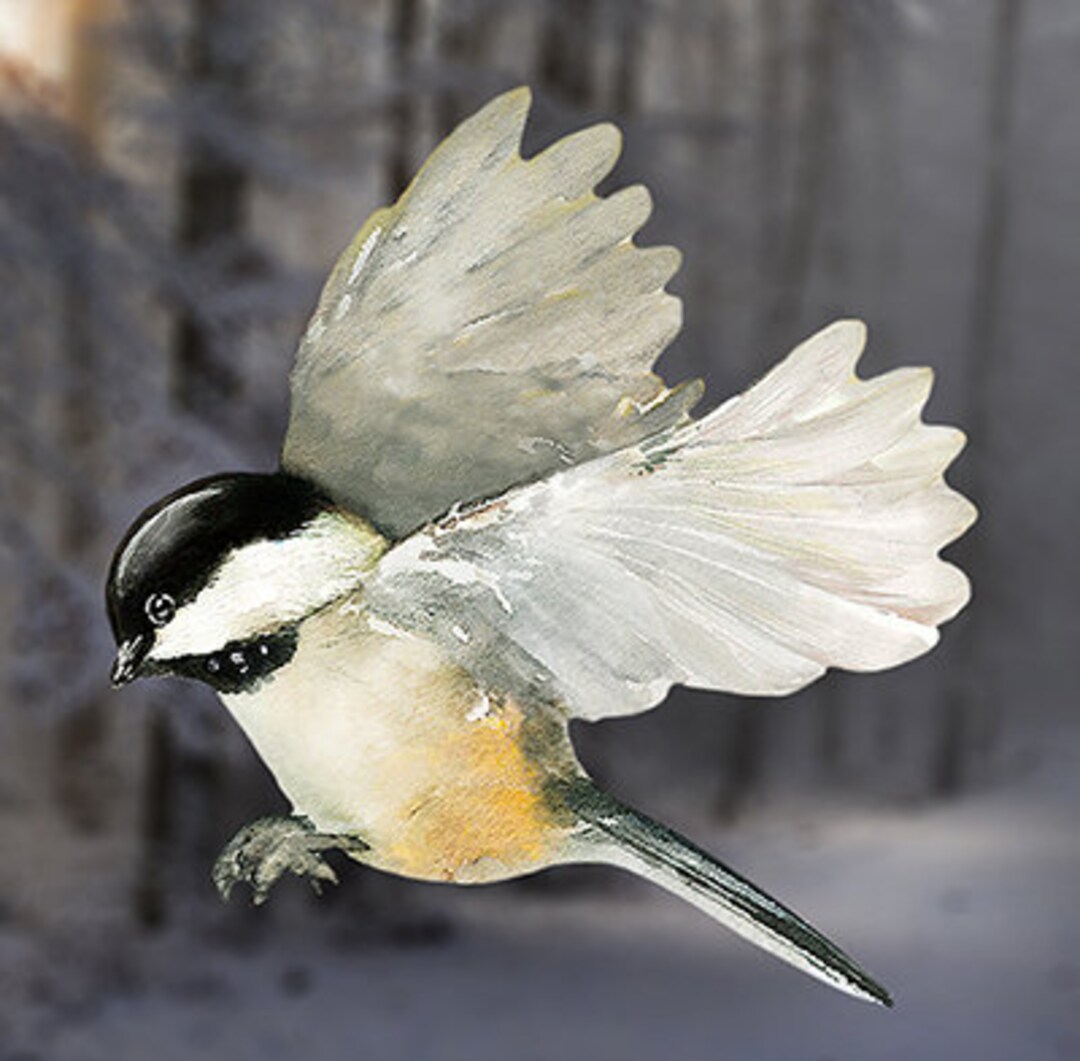 Flying Chickadee, Wall Decal Bird, Black-capped Chickadee, Get Well ...