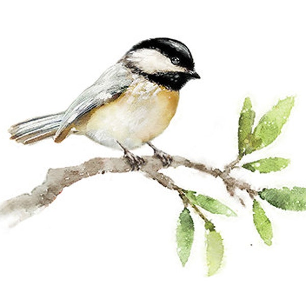 Watercolor Chickadee - Etsy