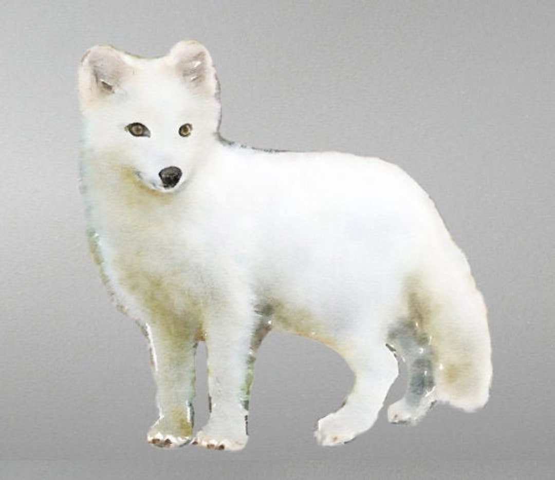 Arctic Fox Wall Decal, Polar Fox Sticker, Watercolor Wall Sticker ...