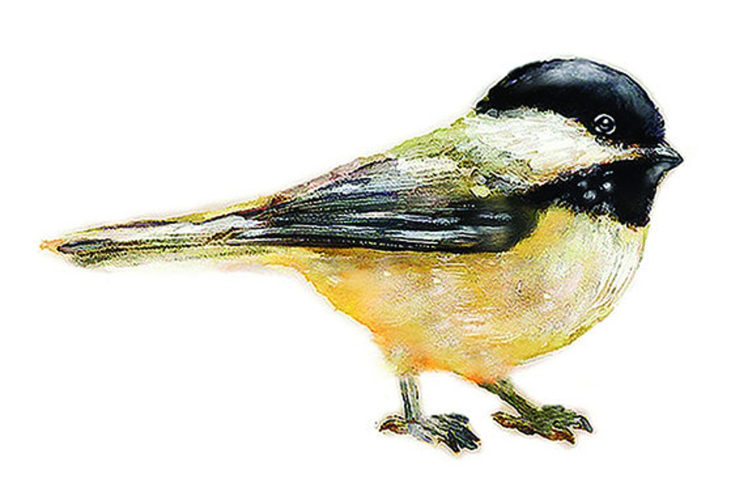 Chickadee Wall Decal, Bird Wall Sticker, Get Well Gift, Watercolor Wall ...