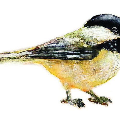 Flying Chickadee Wall Decal Bird Black-capped Chickadee Get - Etsy