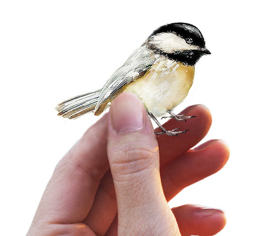 Chickadee Wall Decal, Bird Wall Sticker, Get Well Gift, Watercolor Wall ...