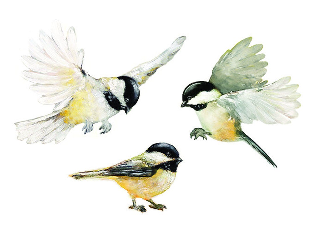 Set 3 Wall Decals Birds, Black-capped Chickadees, Fabric Decal, Get ...