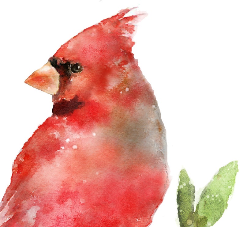 Cardinal Sticker Cardinal Watercolor Bird Decal Cardinal - Etsy Canada