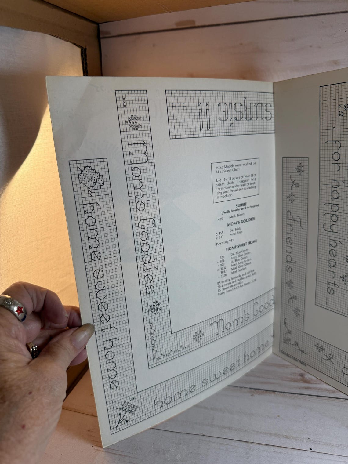 Counted Cross Stitch Pattern: Bead Aida Cloth Conversation Pieces - Etsy