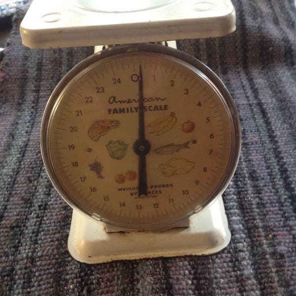 American Family Scale - Etsy