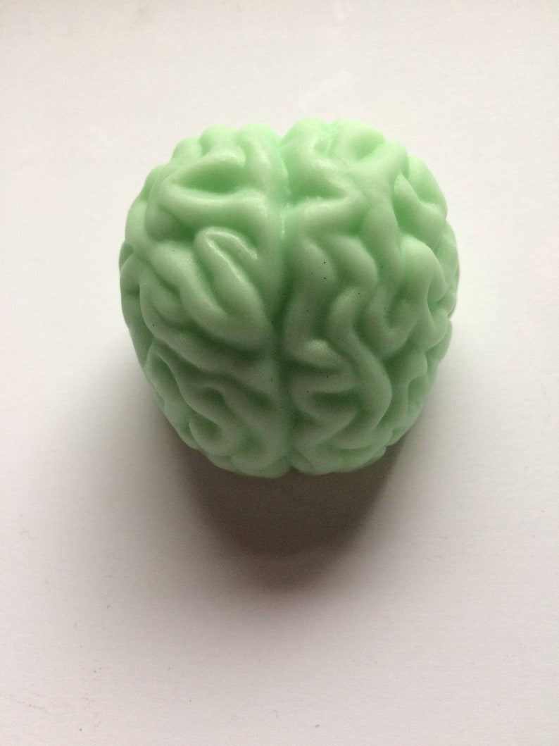 Brain Soap Brain Zombie Soap Brain Gift Medical Soap - Etsy