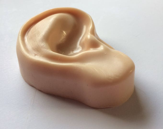 Mini Chocolate Ears - Audiology Chocolates 1 Pound Bulk Box - Etsy Canada
