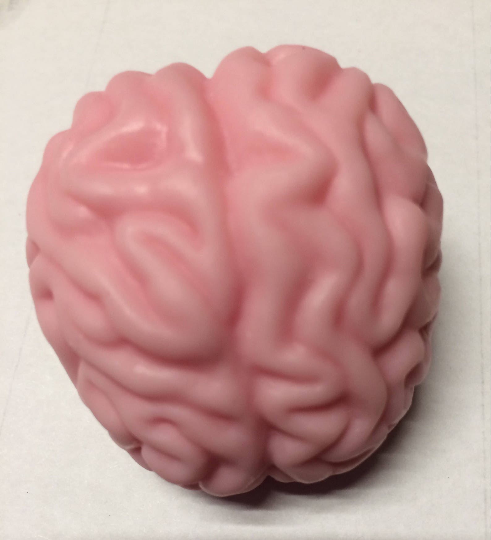 Brain Soap Brain Zombie Soap Brain Gift Medical Soap - Etsy