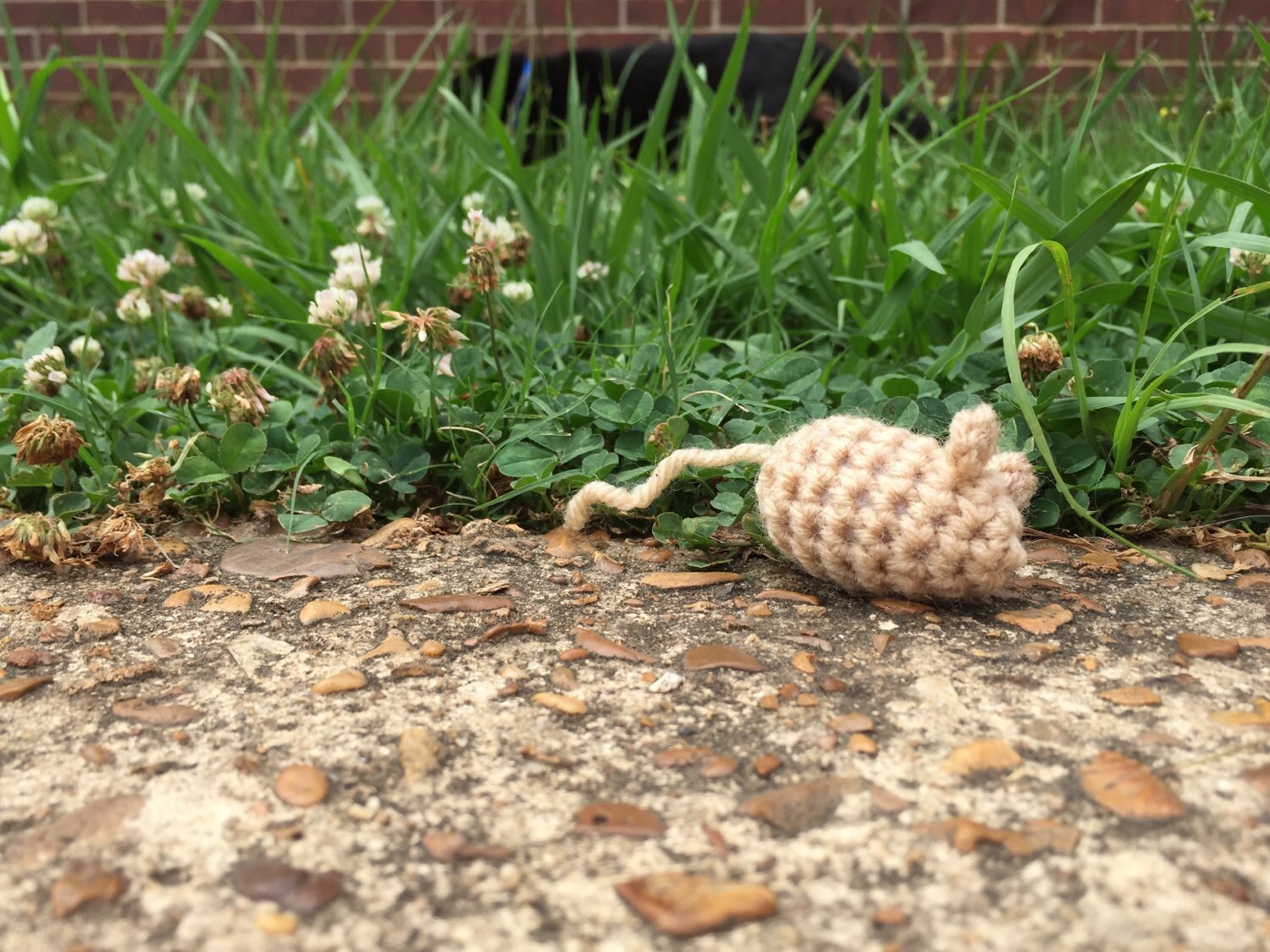 Catnip Toy Mouse Toy Cat Toy Crochet Handmade Cat Gift Pet Toy Catnip ...