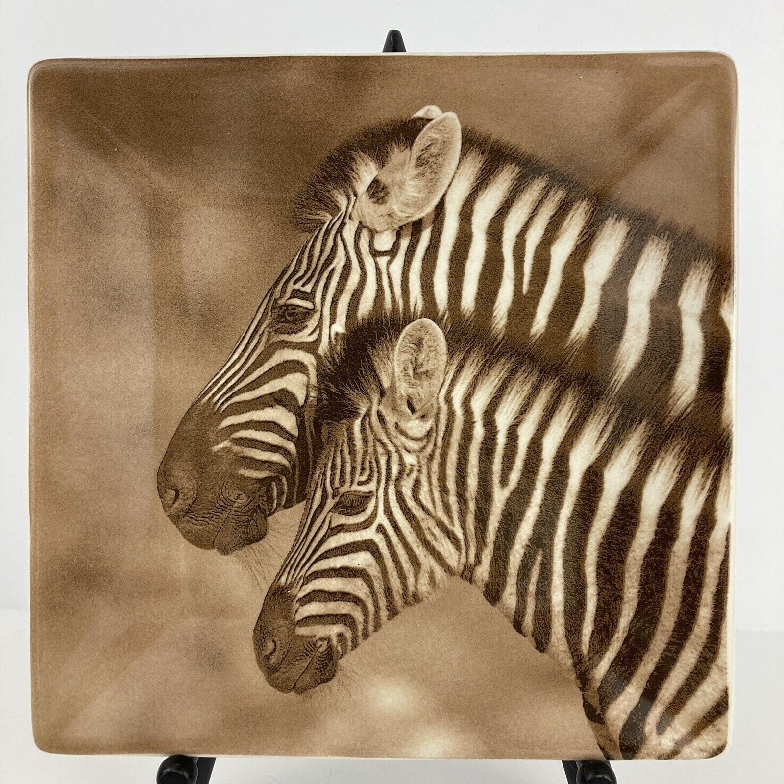 Dario Farrucci Vintage African Safari Zebra Square 8.5 Salad Dessert ...