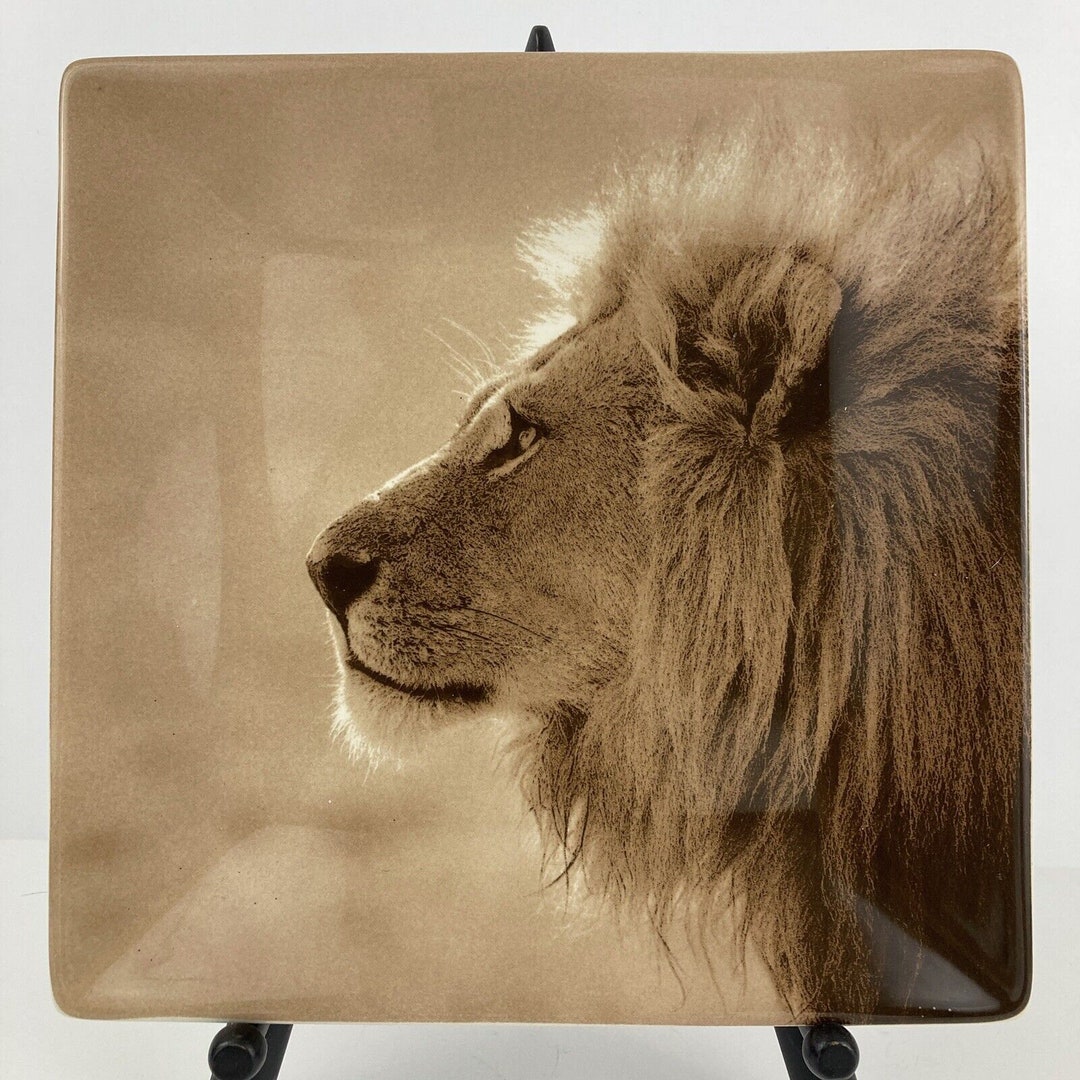 Dario Farrucci Vintage African Safari Lion Square 8.5 Salad Dessert ...