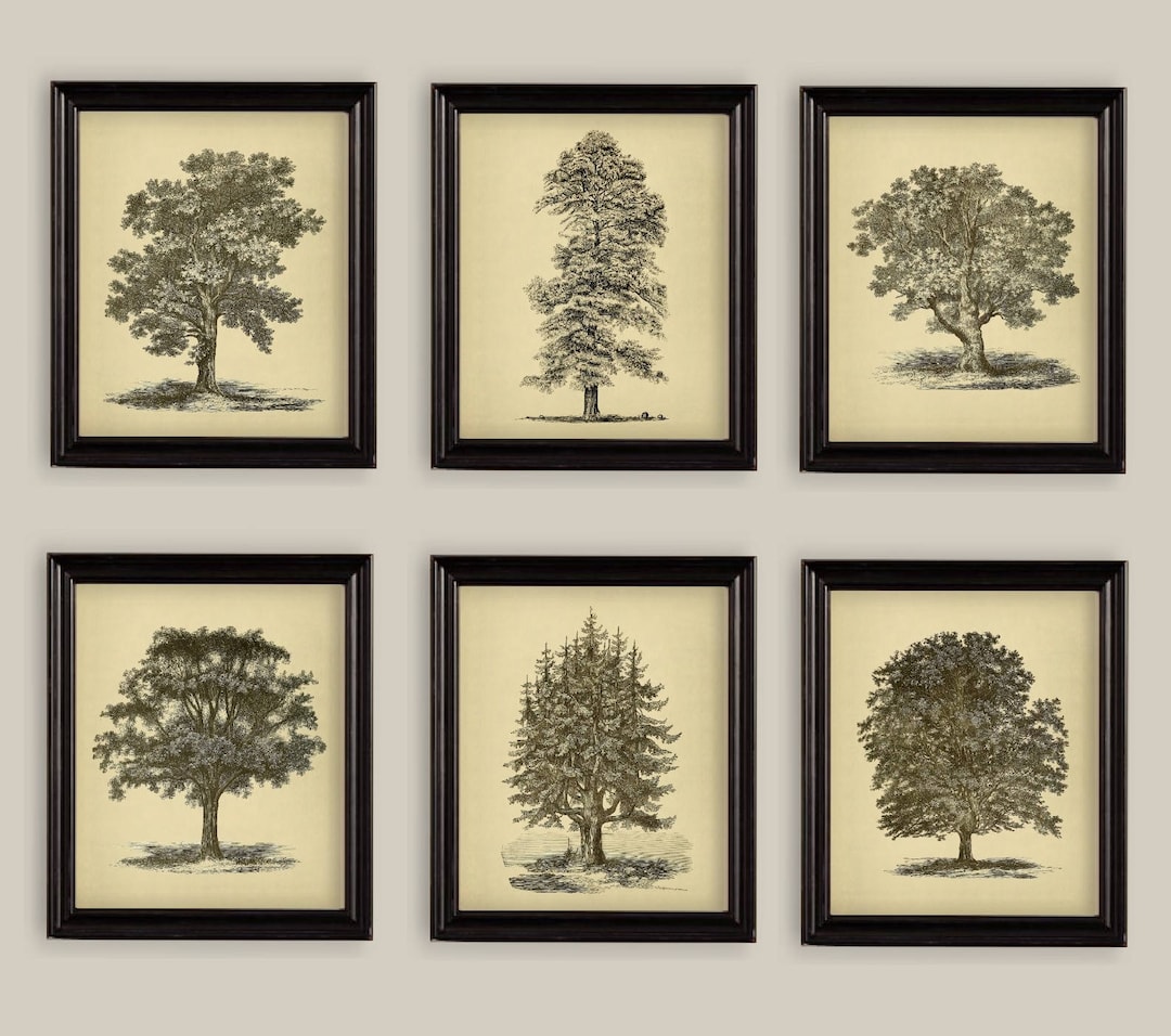 Vintage Tree Botanical Prints: Gallery Wall Art, Set of 6 - Etsy