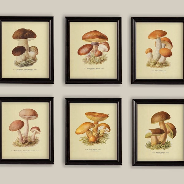 Mushroom Print - Etsy UK
