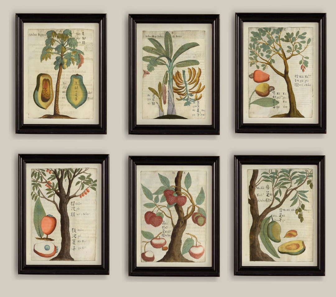 Vintage Naive Primitive Fruit and Trees Eastern Botanical Prints Set of ...