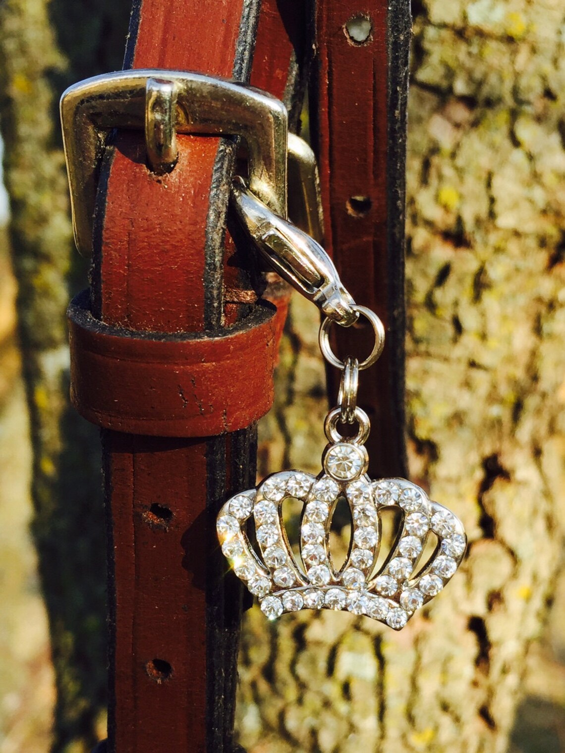 Bling Crown Bridle Charm - Rhinestone Crown Bridle Charm - Crystal ...