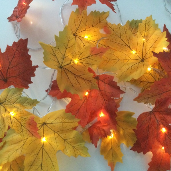 Indoor String Lights - Etsy