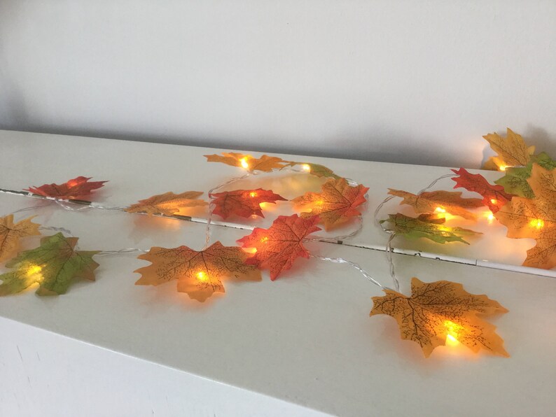 2-10 M Autumn Fairy Lights String Lights Battery Operated - Etsy