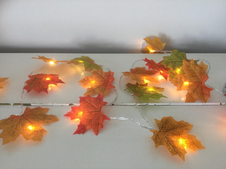 2-10 M Autumn Fairy Lights String Lights Battery Operated - Etsy