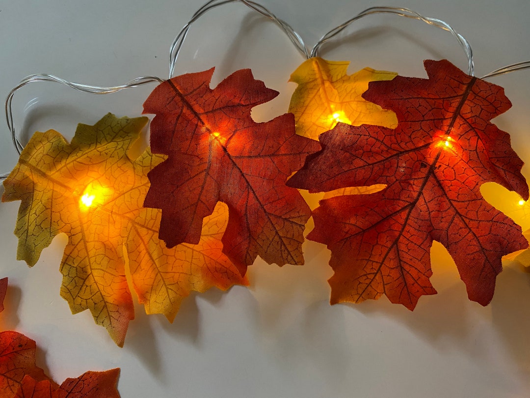 Fall Leaf String Lights ApolloBox, 50% OFF