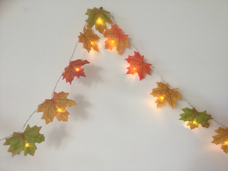 2-10 M Autumn Fairy Lights String Lights Battery Operated - Etsy